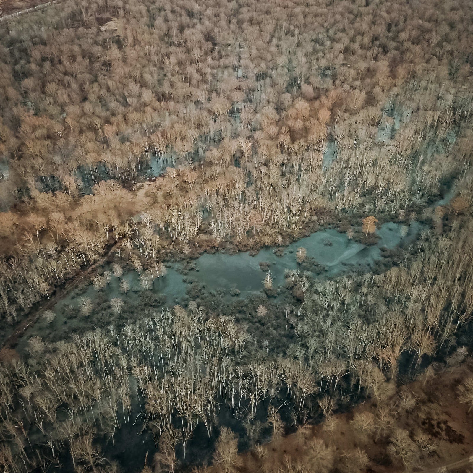The Land