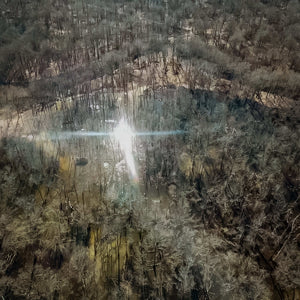 The Land