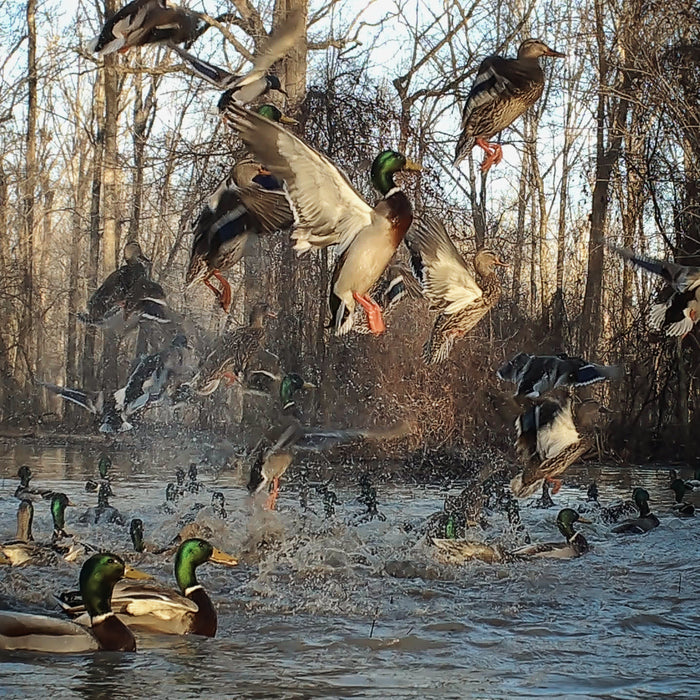Two Rivers Duck Club